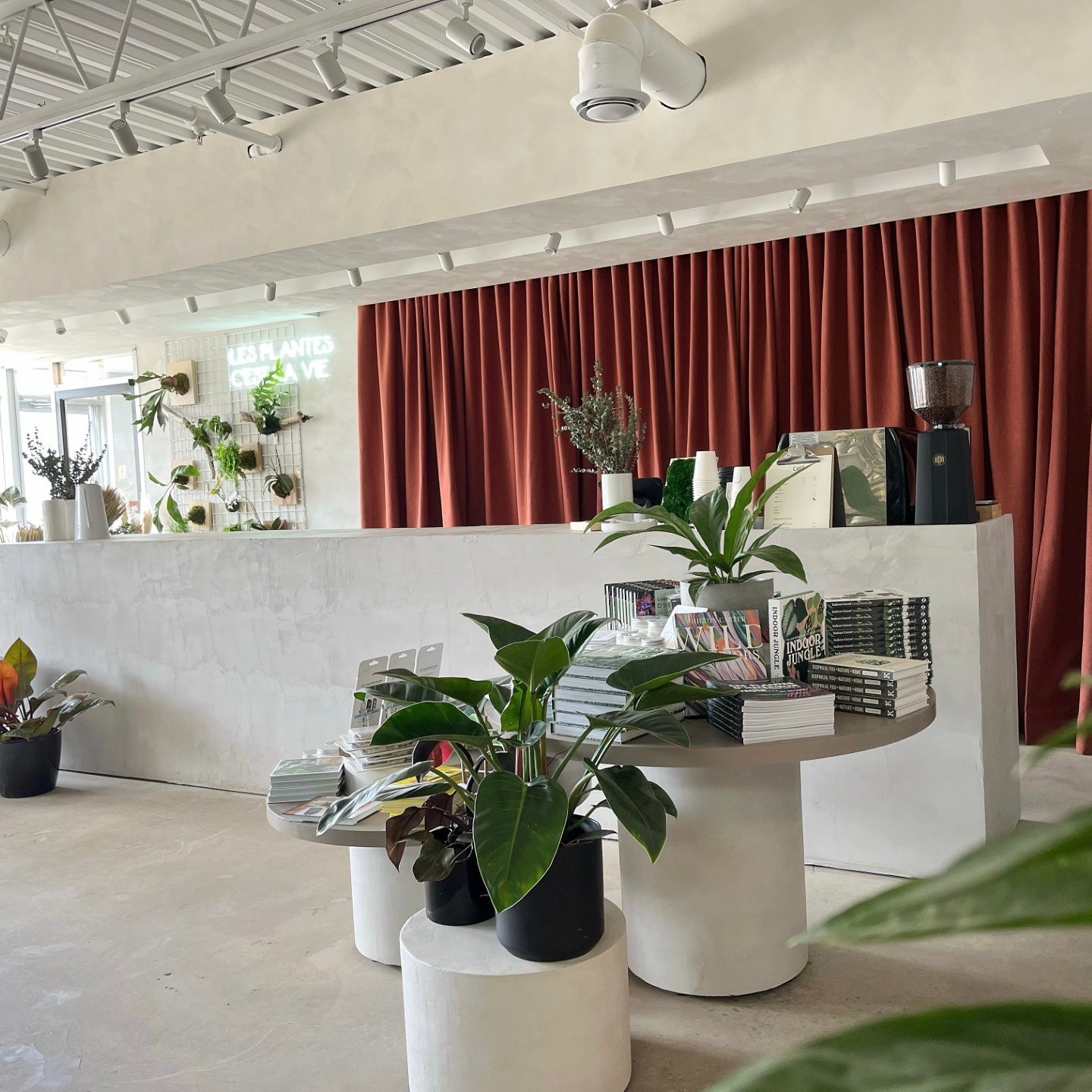 Folia Design : Le spécialiste en plantes d'intérieur à Québec