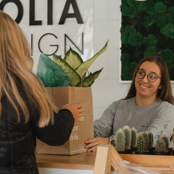 Comment identifier et traiter les cochenilles farineuses - Folia Design