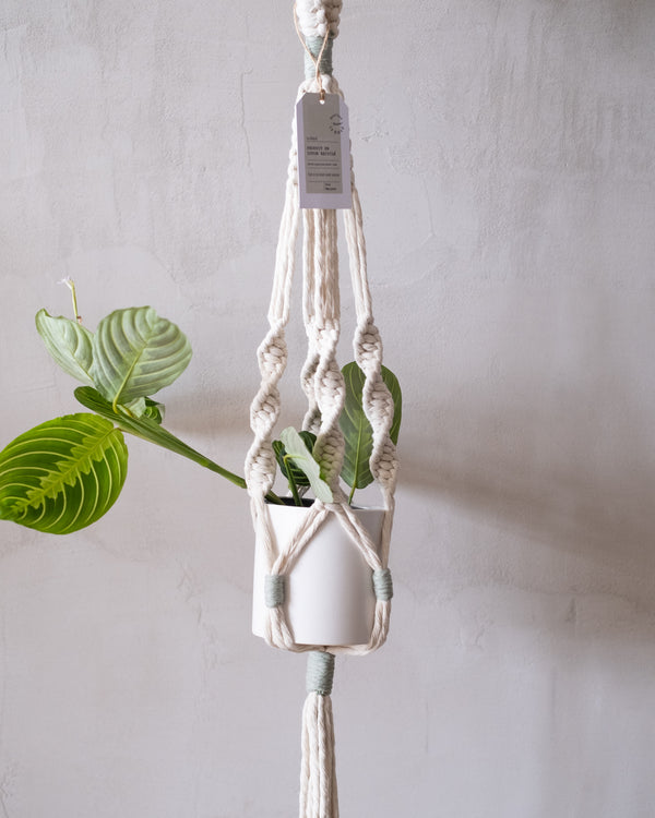 Jardinière en macramé « L'attachante » - Folia Design