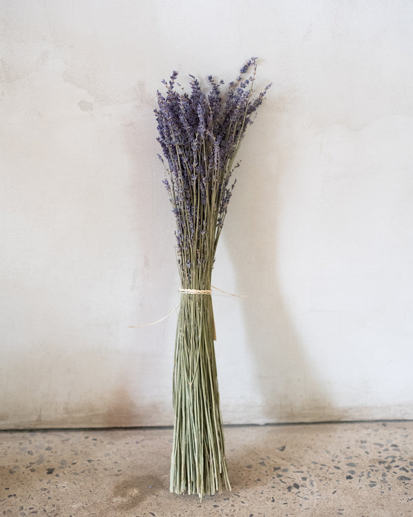 Accessoires - Folia Design