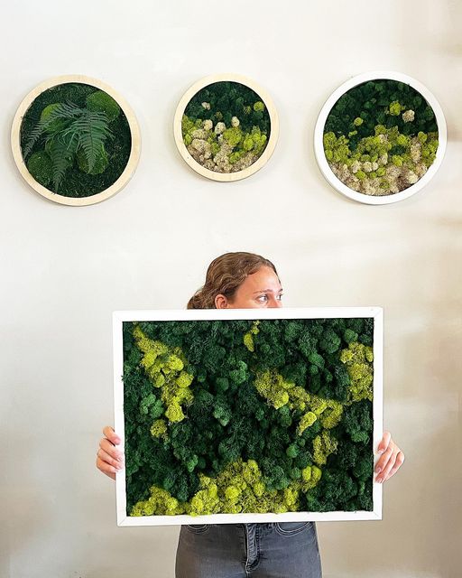 Folia Design : Le spécialiste en plantes d'intérieur à Québec