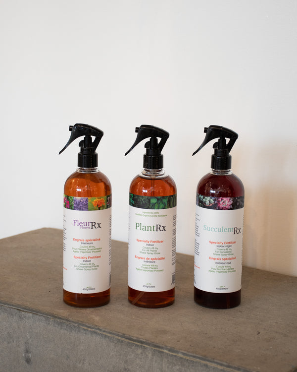 Nouveautés - Folia Design